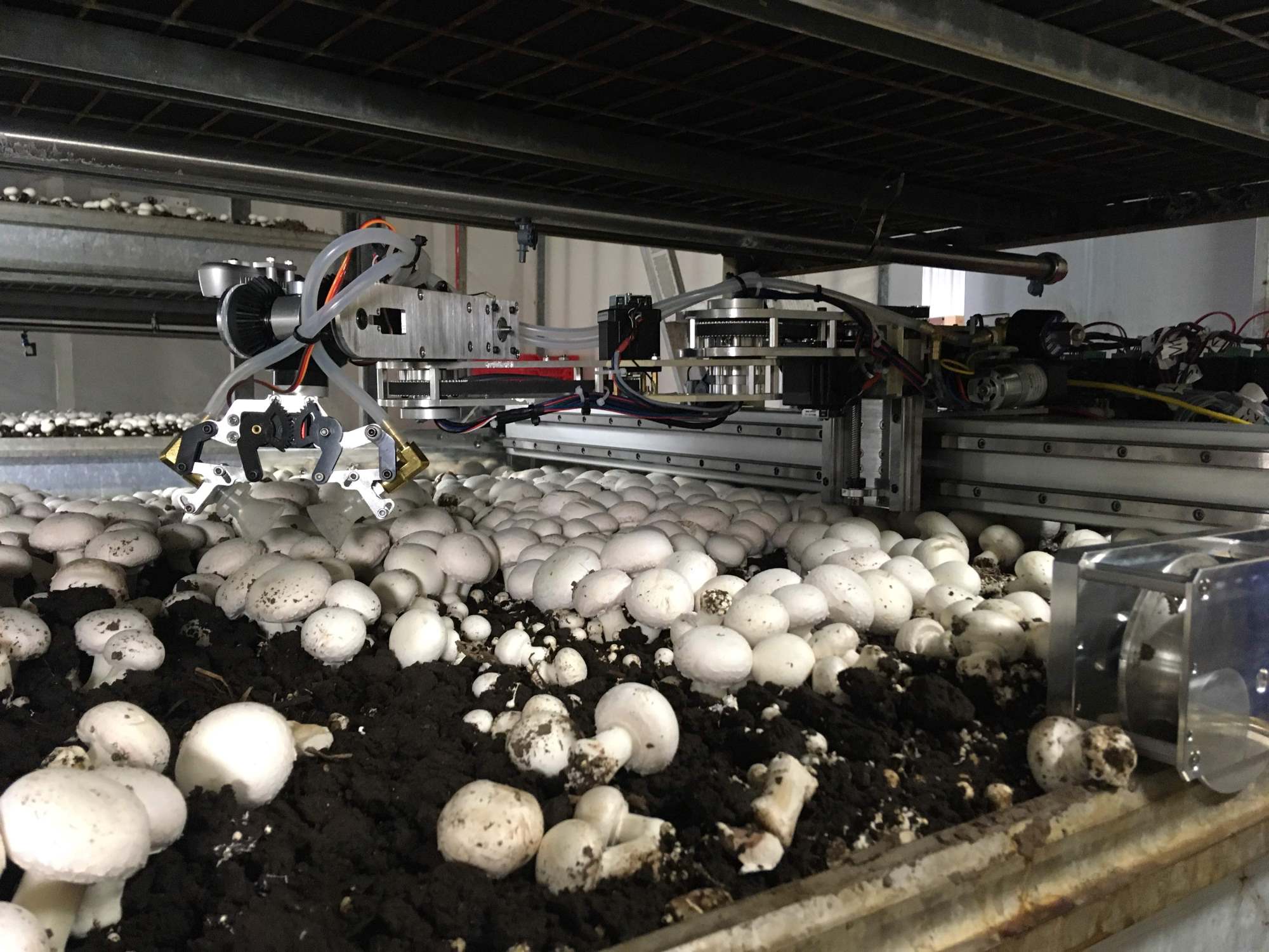 Dorna For Picking Mushrooms | Dorna Robotics