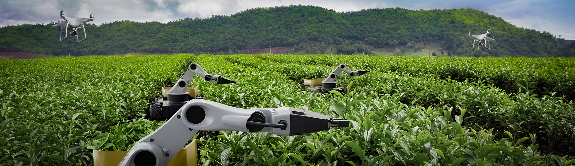 9 Emerging Trends in Robotics and Automation | Dorna Robotics